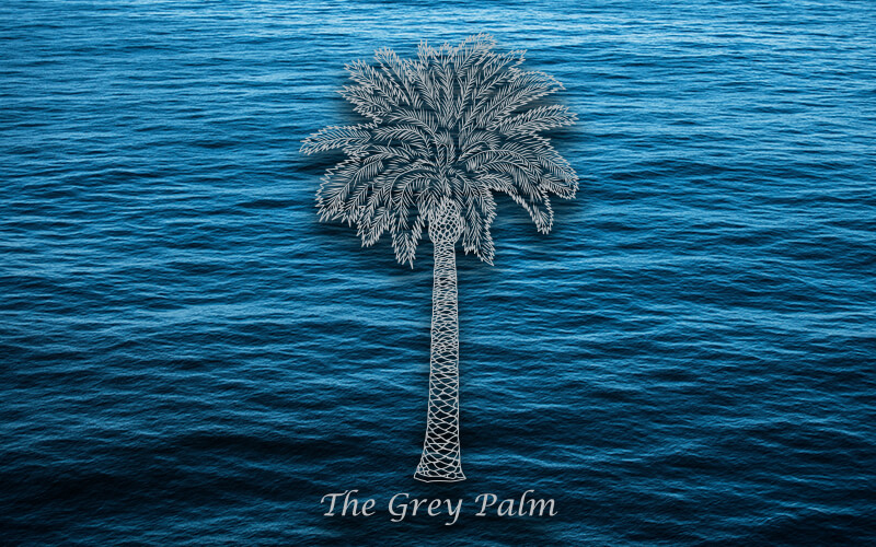 402 THE GREY PALM | OBX Vacation Rentals in Corolla, NC